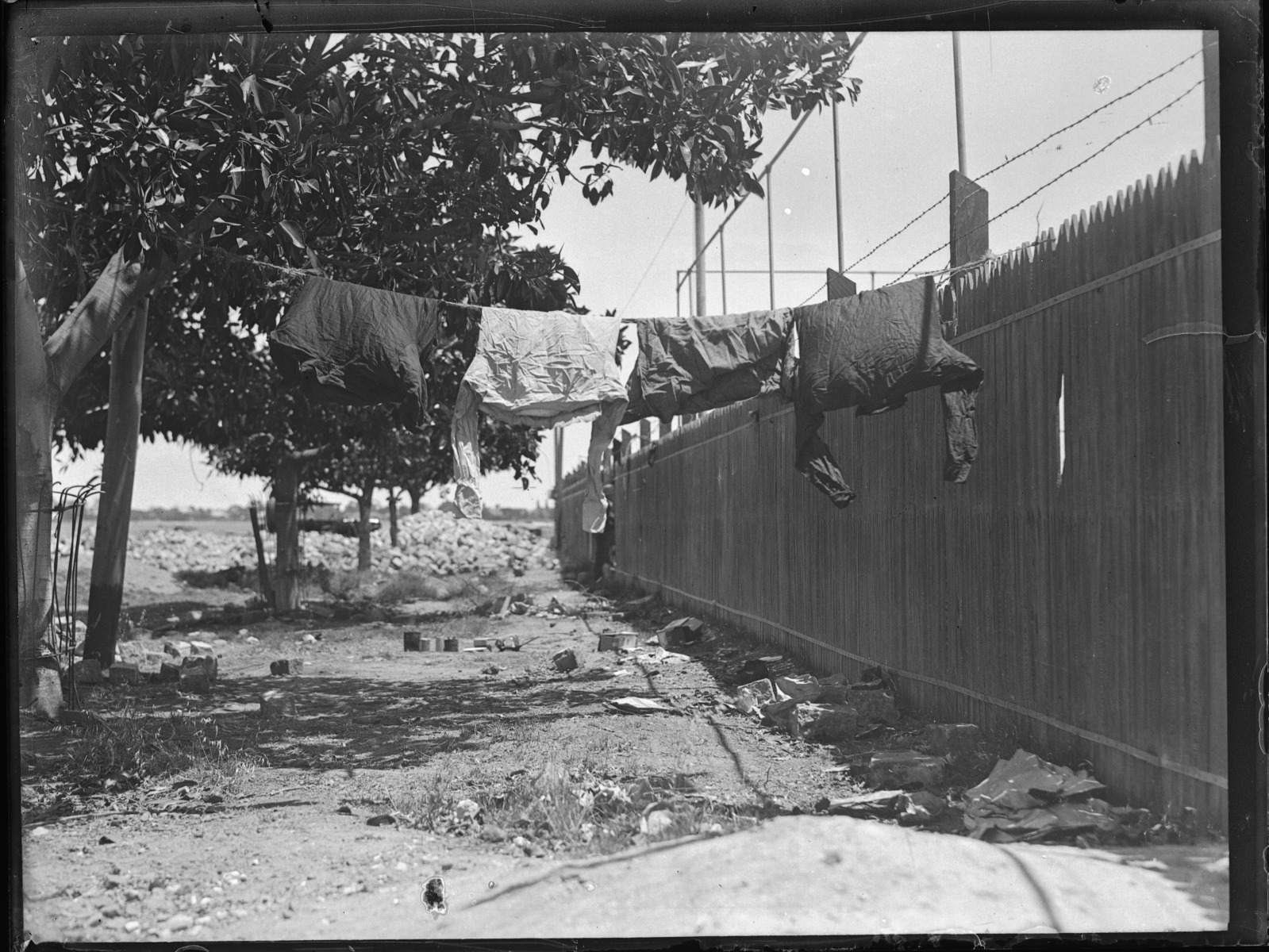 James Rowley, unemployed and living on The Esplanade - JPG 528.4 KB