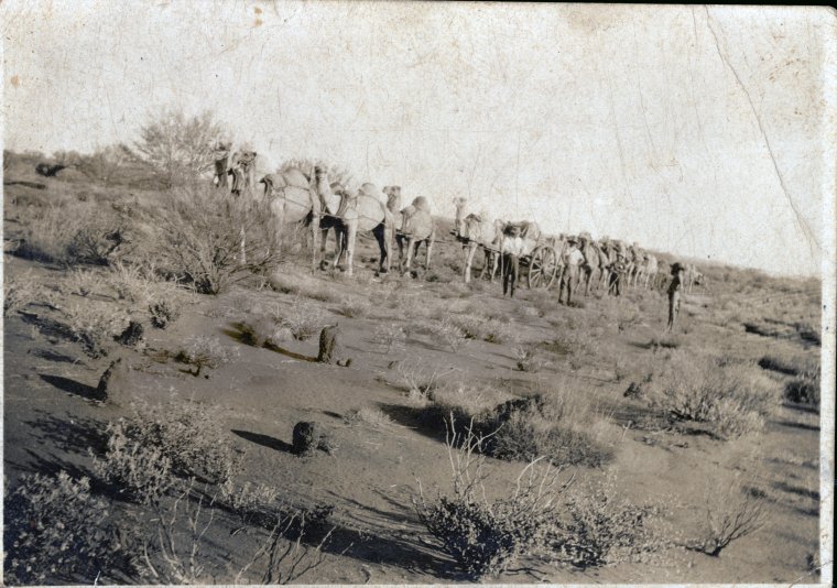 Photographs relating to an exploration party to the Warburton Ranges ...