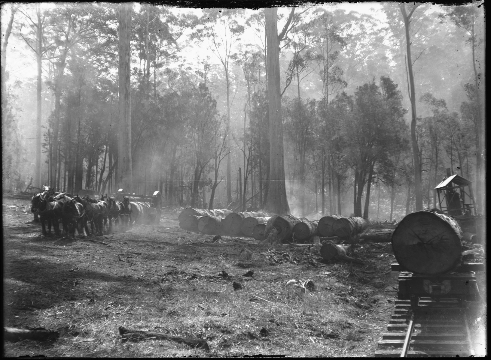 Log landing - JPG 539.5 KB