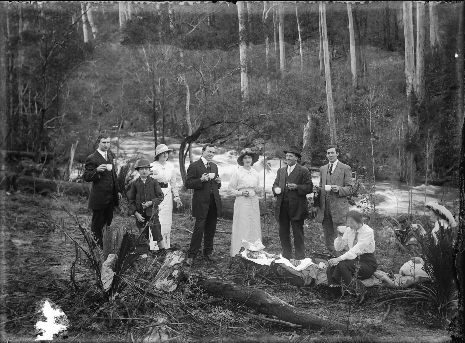 Timber man and associates - JPG 576.0 KB