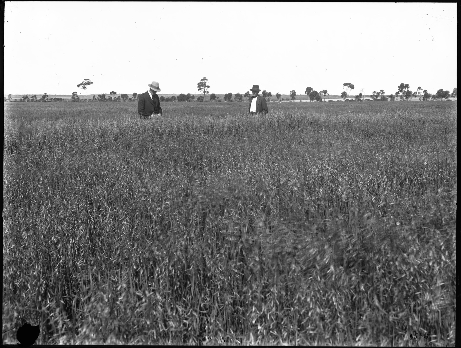 Farmers field day at the Merredin State Farm. - JPG 502.0 KB