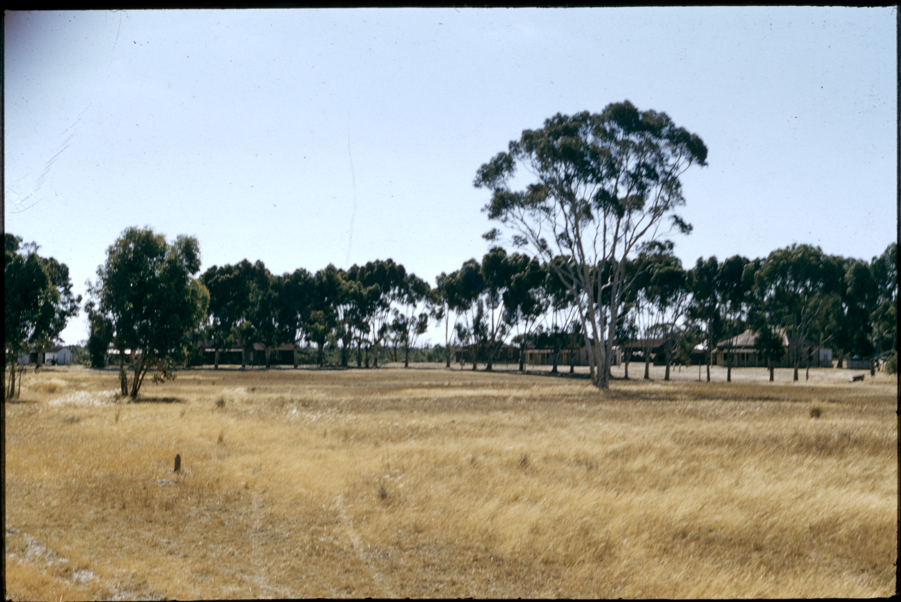Marribank Mission, January 1958 - JPG 607.3 KB