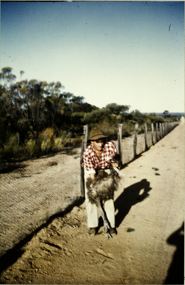 Along the emu proof fence near Wialki - JPG 292.8 KB