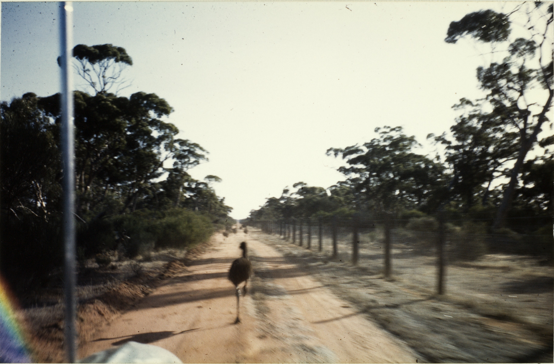 Along the emu proof fence near Wialki - JPG 533.2 KB
