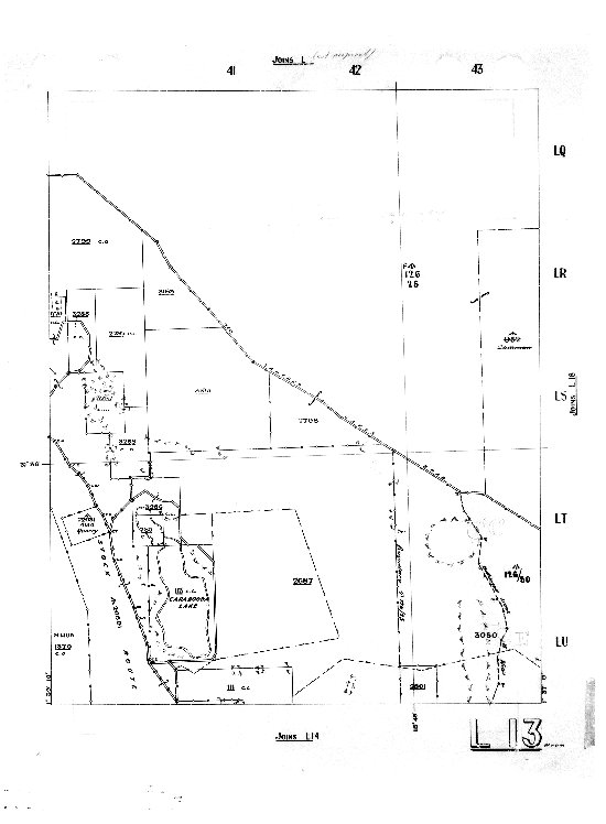 Forests Department 20 chain topographical sheet L series maps - JPG 51.9 KB