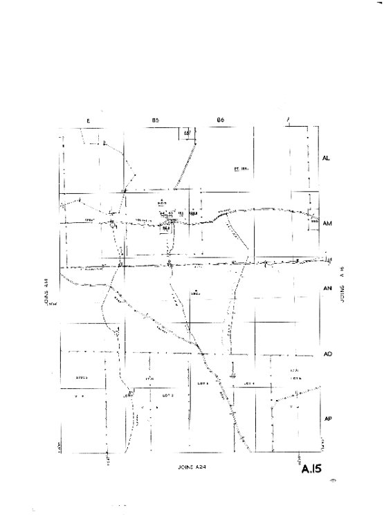 Forests Department 20 chain topographical sheet A series maps - JPG 34.0 KB