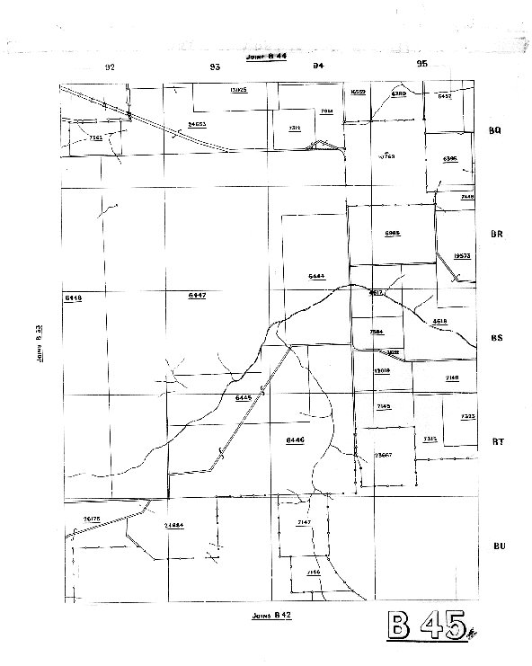 Forests Department 20 chain topographical sheet B series maps 23-45 ...