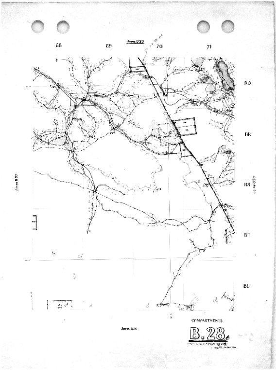 Forests Department 20 chain topographical sheet B series maps 23-45 ...