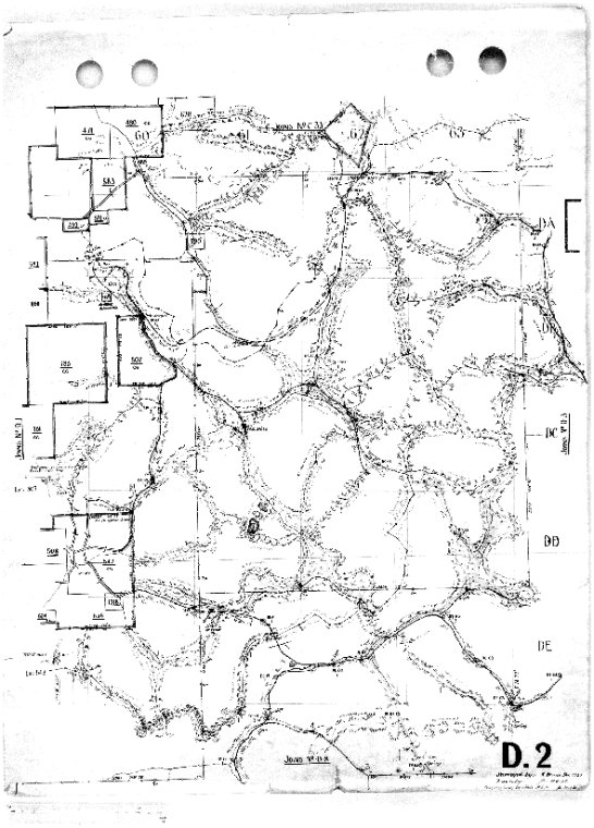 Forests Department 20 chain topographical sheet D series maps 1-22 ...