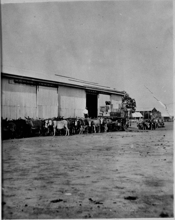 Work and life on Noonkanbah Station - JPG 99.3 KB