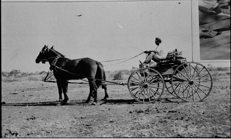 W. D. Williams at Mt Anderson Station - JPG 97.2 KB