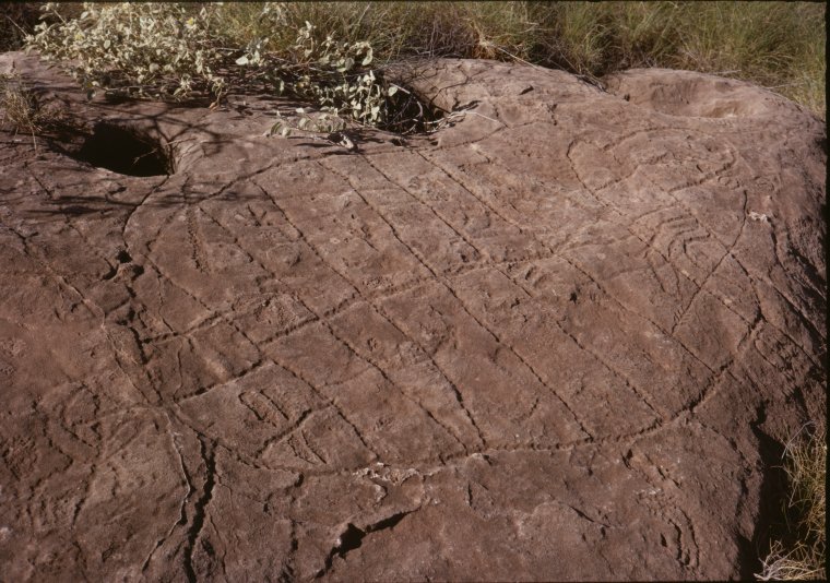Petroglyphs (Aboriginal rock carvings), Port Hedland - JPG 118.3 KB