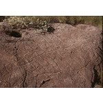 Petroglyphs (Aboriginal rock carvings), Port Hedland