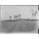 Carnamah - State Library of Western Australia
