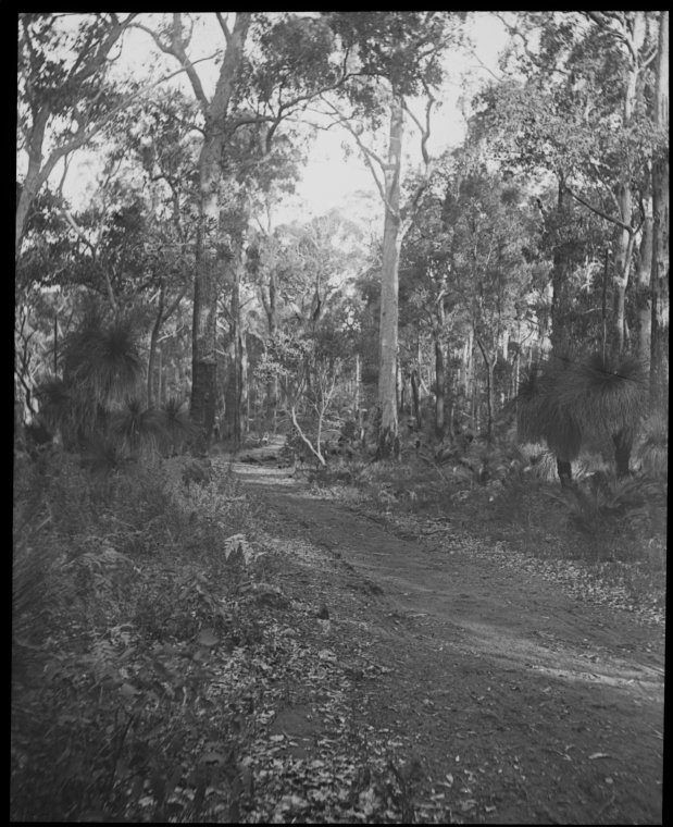 Scenes in the South West including Waroona and Coolup - JPG 152.3 KB