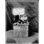 Powellised and untreated karri sleeper after five months of being laid ...