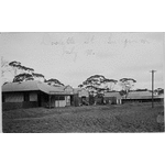 Doolette Street, Bullfinch, July 1911