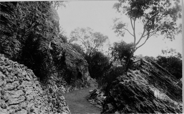 Pathway on Mount Eliza above Mounts Bay Road, Perth - JPG 113.5 KB
