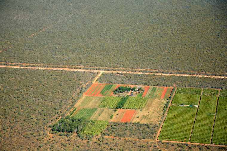 Aerial photographs of Roebuck Plains - JPG 319.5 KB