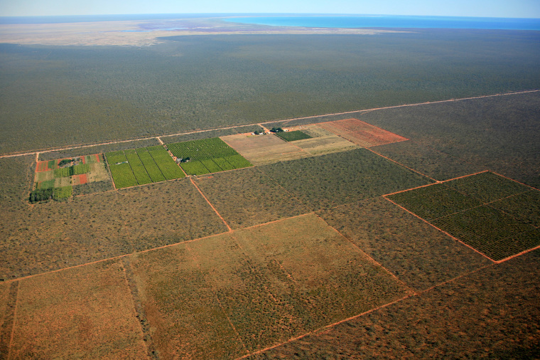Aerial photographs of Roebuck Plains - JPG 234.3 KB