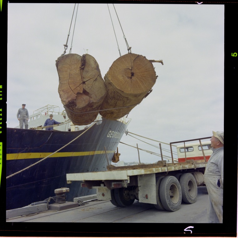 Loading logs onto the Georgiana at Bunbury for export to Japan, 1 ...