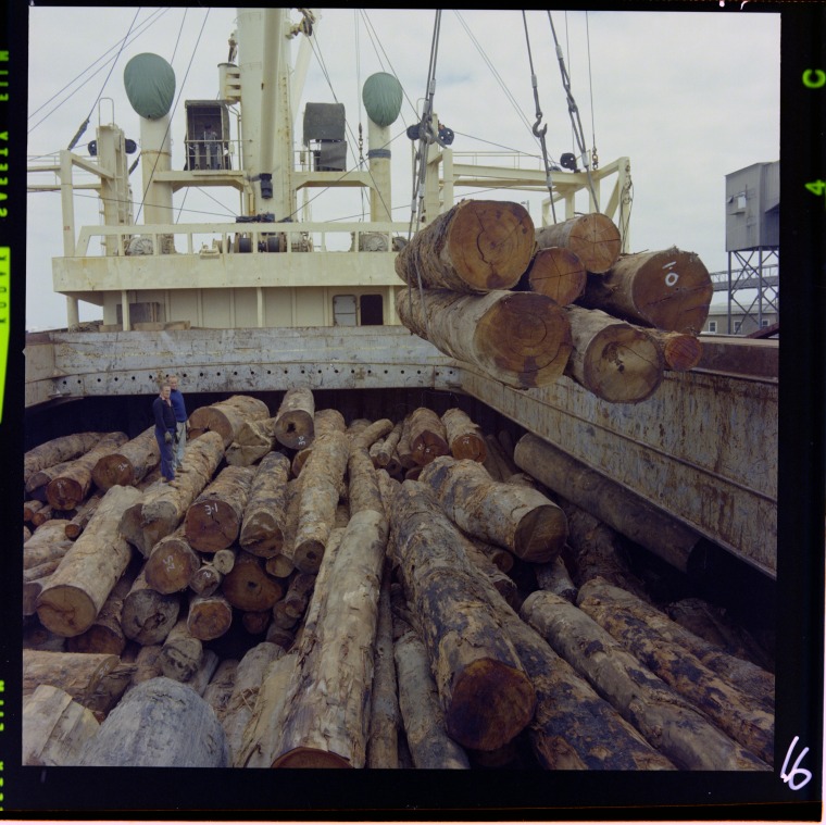 Loading logs onto the Georgiana at Bunbury for export to Japan, 1 ...