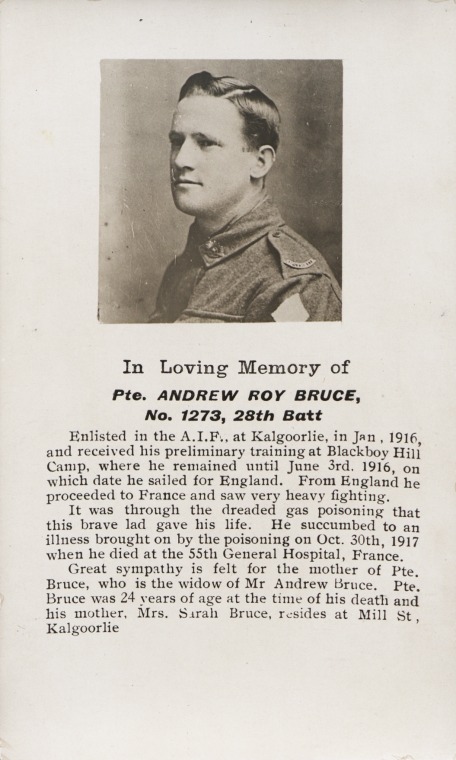 In loving memory of Private Andrew Roy [ie Roy Andrew] Bruce - JPG 88.3 KB