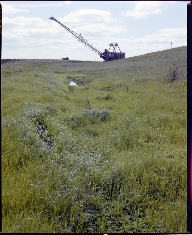 Rehabilitation of land at the Griffin Coal Mine, Collie, 1 October 1986 ...
