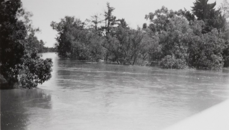 Flooding at Pinjarra, 20 February 1955 - JPG 74.4 KB