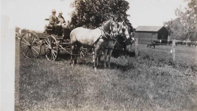William and Bessie Maidment at Paringa farm in the late 1920s - JPG 106 ...