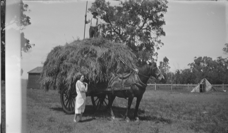 The Maidment family on the family farm, near Capel - JPG 84.5 KB