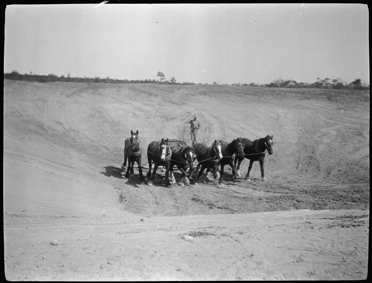 Jack Carruthers sinking a dam at Lake Grace, October 1918. - JPG 109.1 KB