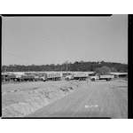 Barrington Quarries trucks working on the Perth Esplanade, 28 September ...