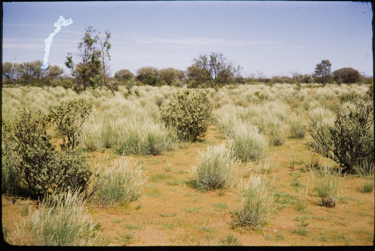 Belele Station and Jack and Lindsay Henderson, March 1955. - JPG 145.7 KB