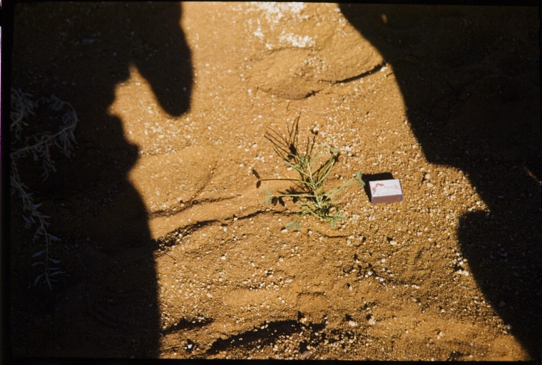 Belele Station and Jack and Lindsay Henderson, March 1955. - JPG 132.0 KB