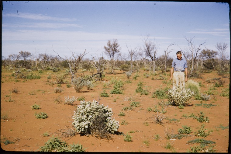 Belele Station and Jack and Lindsay Henderson, March 1955. - JPG 127.9 KB