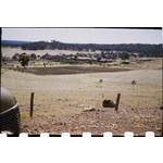 Bindoon Boys Town, February 1953.