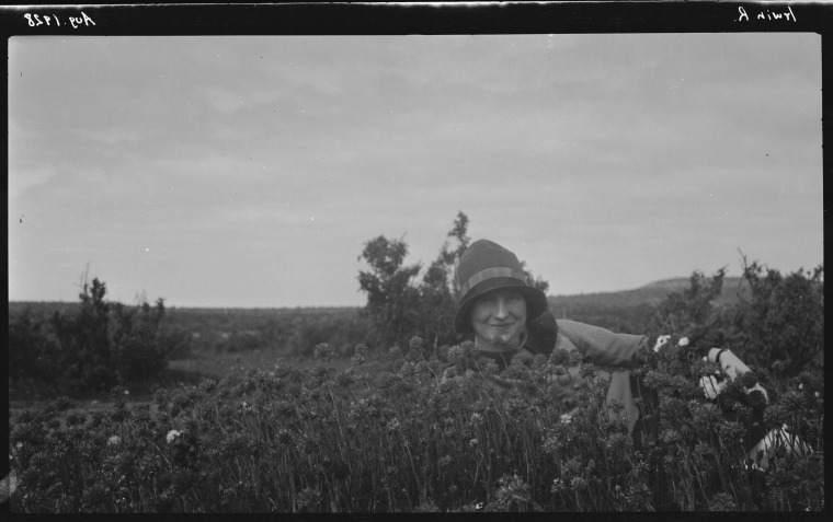 Irwin River geology excursion based at Nangetty Station, 15-21 August ...