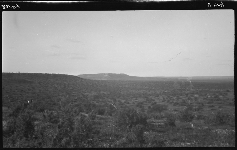 Irwin River geology excursion based at Nangetty Station, 15-21 August ...