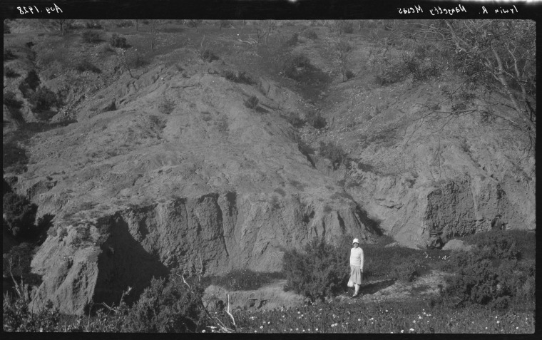 Irwin River geology excursion based at Nangetty Station, 15-21 August ...