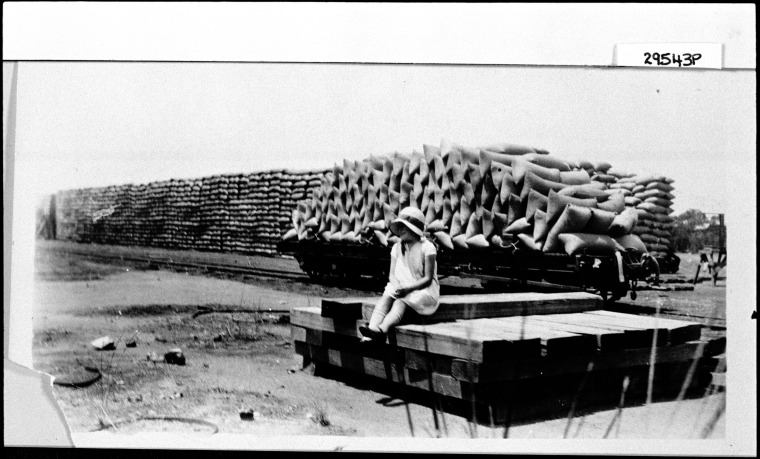 Wheatbags loaded on railway truck and beside track, with girl seated on ...