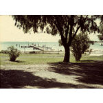 Deep Water Point, Mount Pleasant.