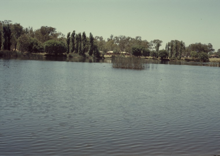 Perry Lakes. - JPG 83.3 KB