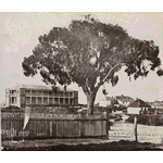 The Colonial Hospital, Perth.