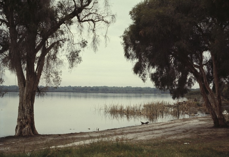 Peel Inlet. - State Library of Western Australia