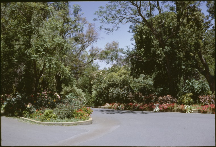 The grounds of Government House, Perth, 31 December 1966. - JPG 163.5 KB