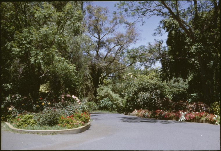 The grounds of Government House, Perth, 31 December 1966. - JPG 165.0 KB