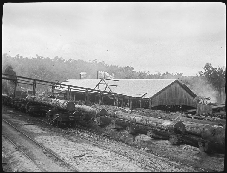 The Kauri Timber Company mill at Barrabup, 21 June 1915. - JPG 125.8 KB