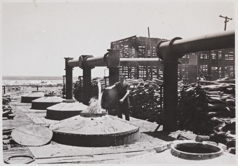 Stoking boilers at the the Sons of Gwalia mine. - JPG 110.1 KB