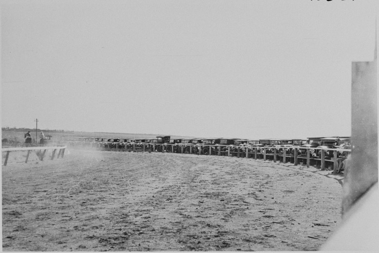 First trotting meeting at Bencubbin. - JPG 91.4 KB